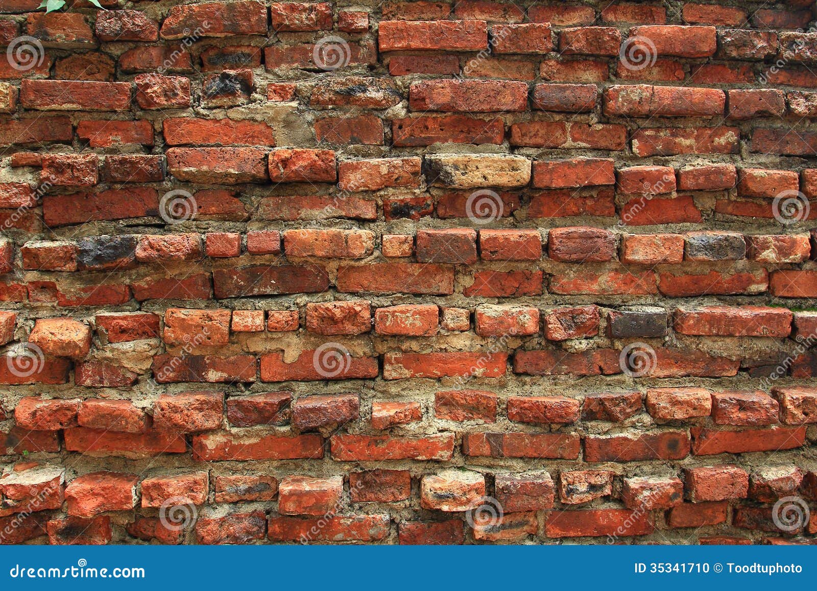 Brick wall stock photo. Image of interior, concrete, diagonal - 35341710
