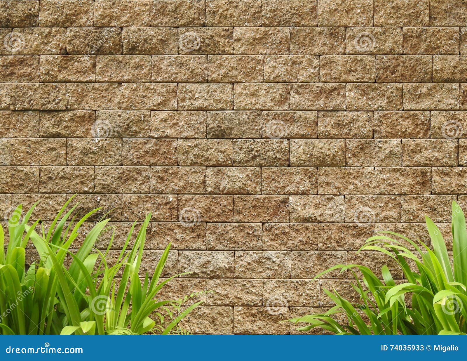 Brick wall and plants stock image. Image of home, texture - 74035933