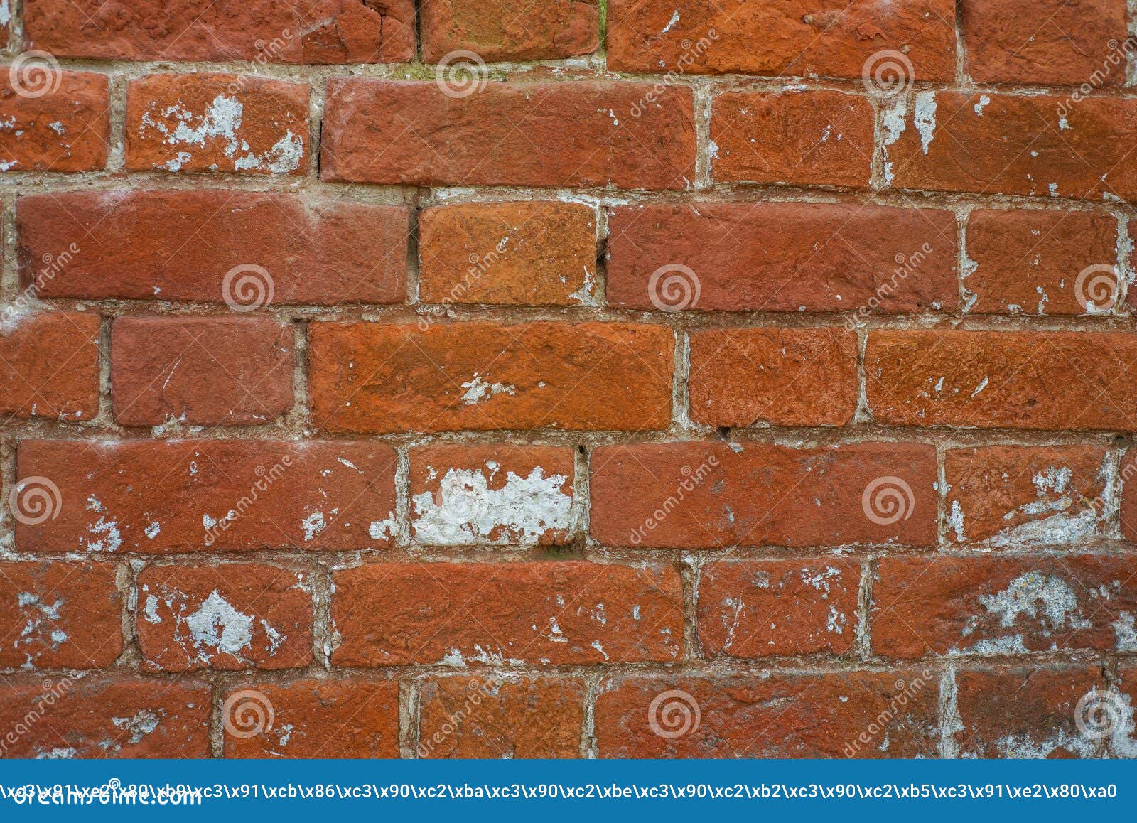 Brick Wall with Remnants of Plaster Stock Photo - Image of design ...