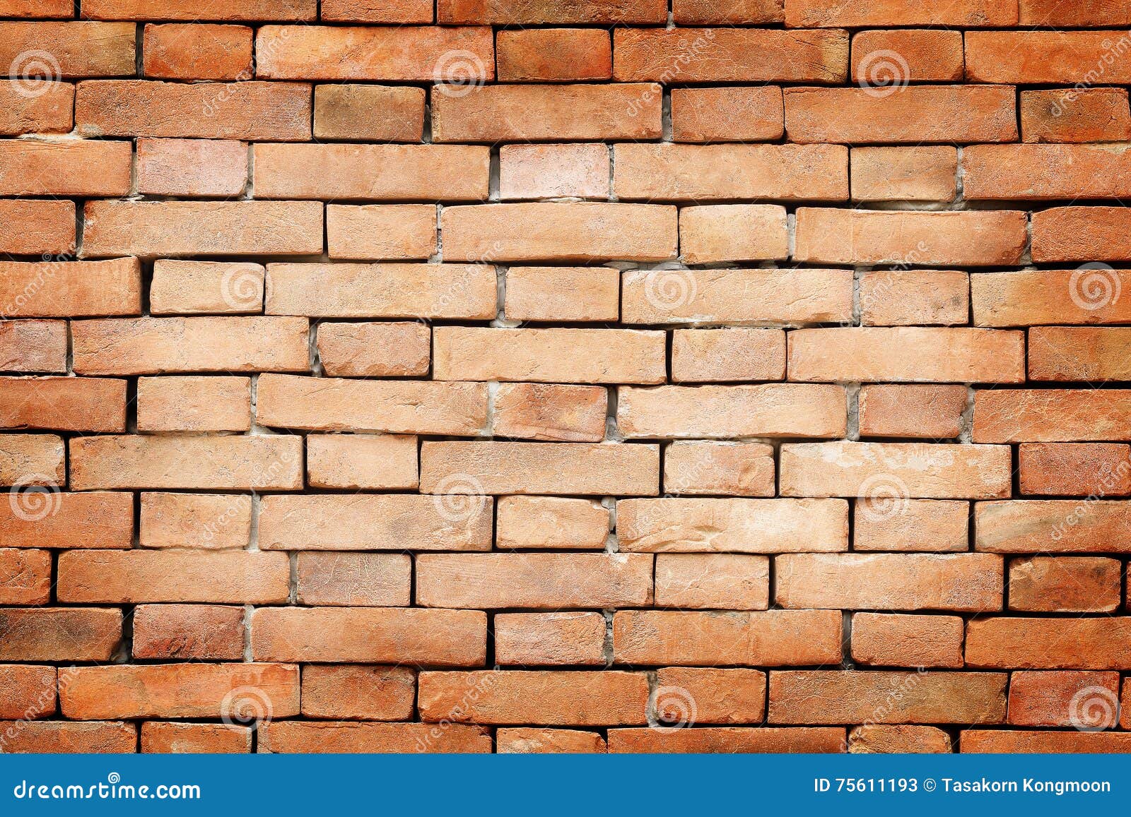 Brick Wall with Shadow for Pattern and Background Stock Image - Image ...