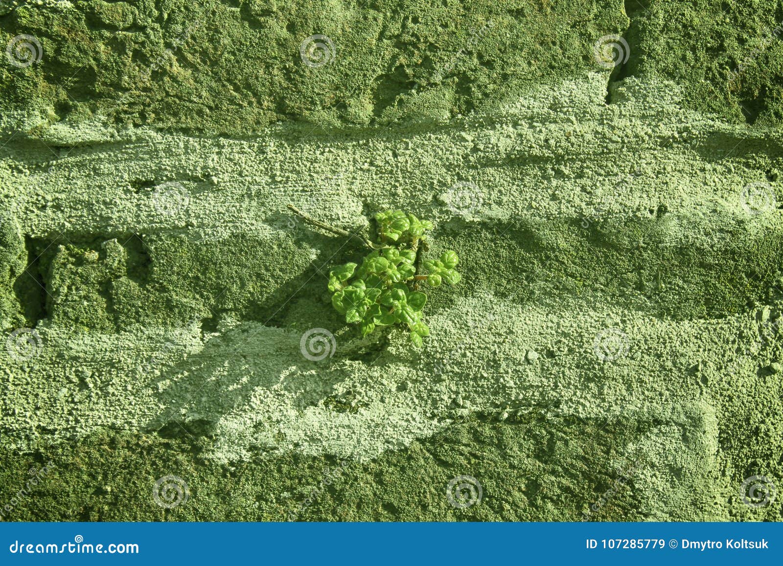 Brick Wall Stone Background - Texture for Continuous Rocks Stock Image ...