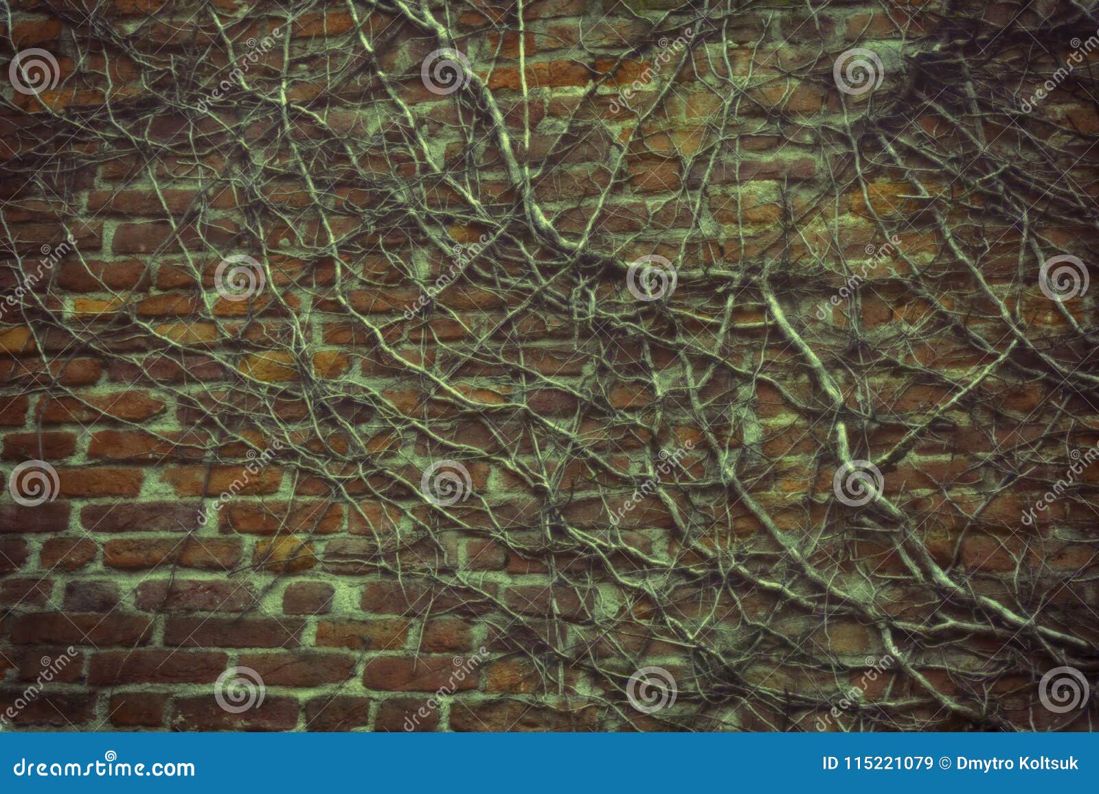 Brick Wall Stone Background - Texture for Continuous Rocks Stock Image ...