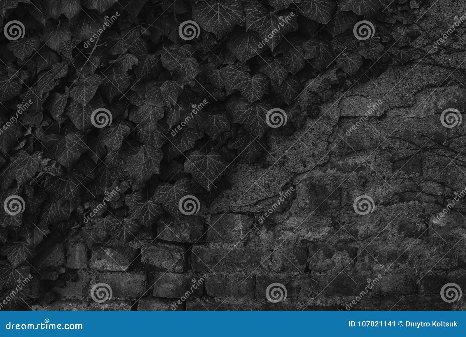 Brick Wall Stone Background - Texture for Continuous Rocks Stock Image ...