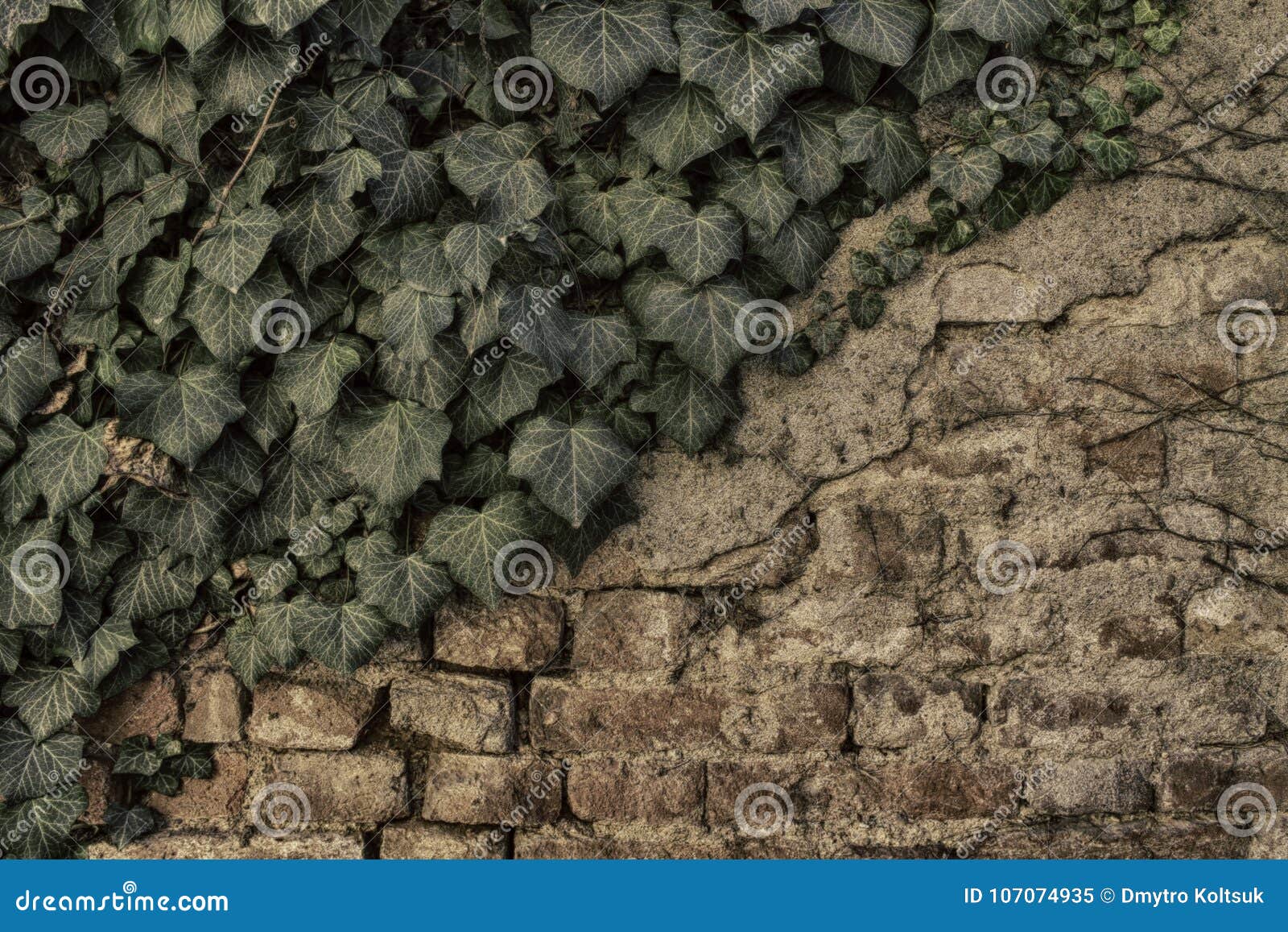Brick Wall Stone Background - Texture for Continuous Rocks Stock Image ...