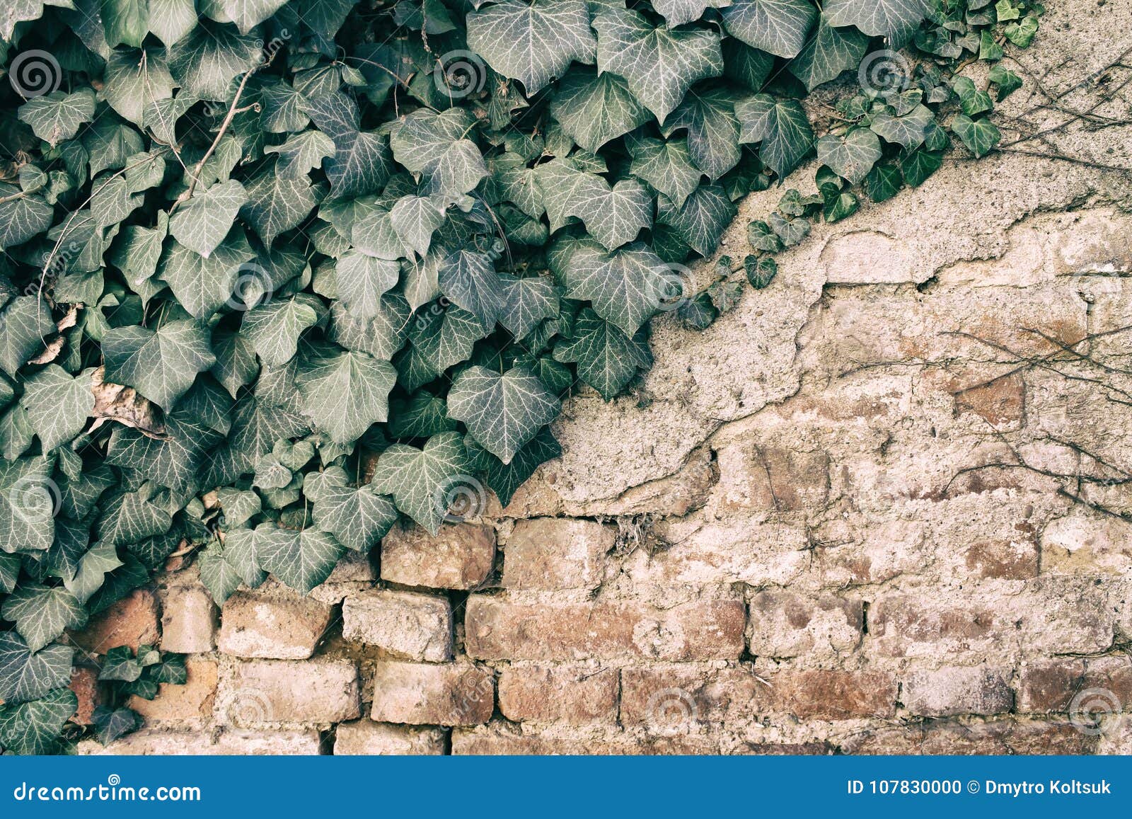 Brick Wall Stone Background - Texture for Continuous Rocks Stock Photo ...