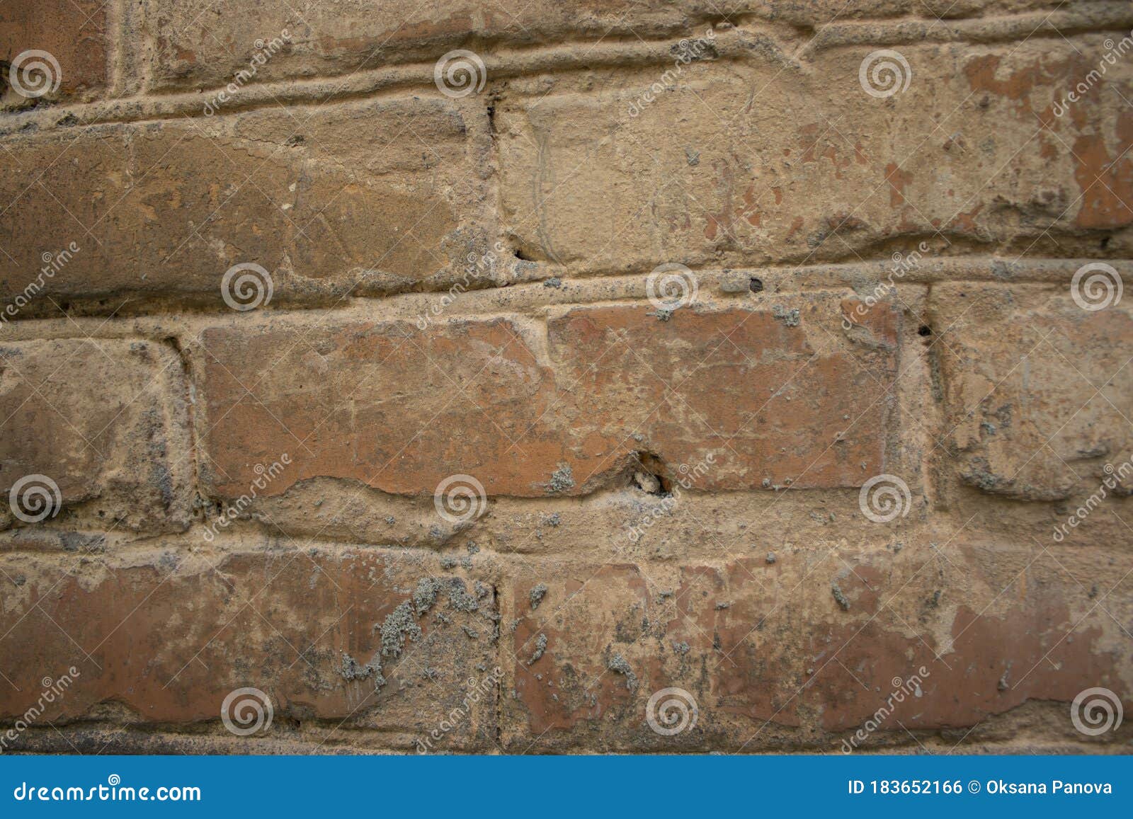 Brick wall on the street. stock photo. Image of border - 183652166