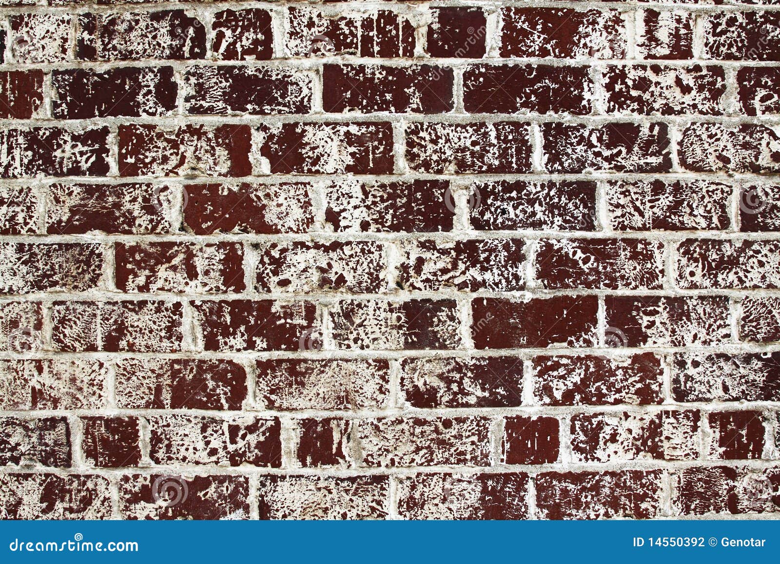 Brick Wall Texture stock photo. Image of builder, background - 14550392