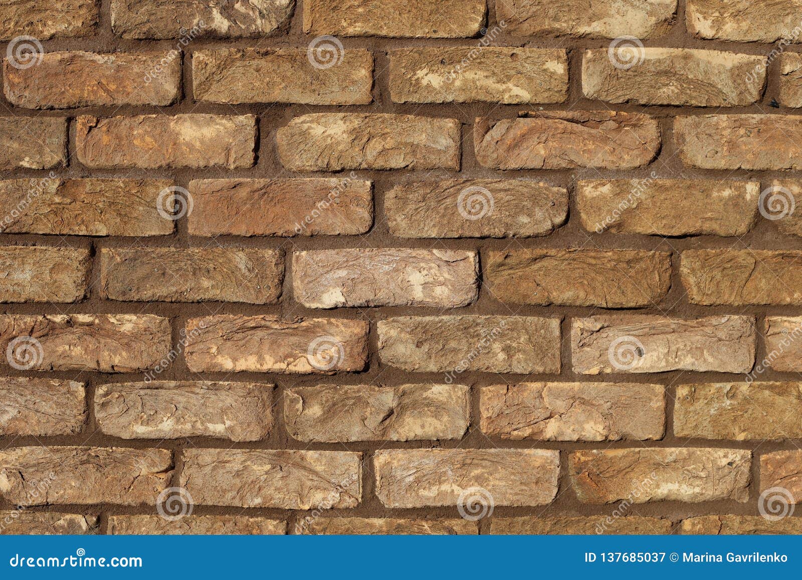 Red Brick In Hand Stock Photography | CartoonDealer.com #24394532