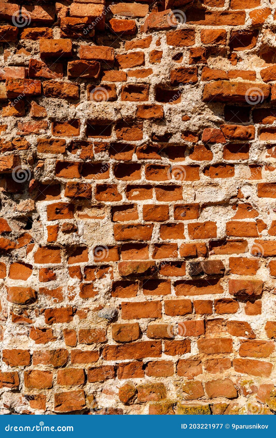 Brick Wall Texture in Sunlight Stock Image - Image of wall, urban ...