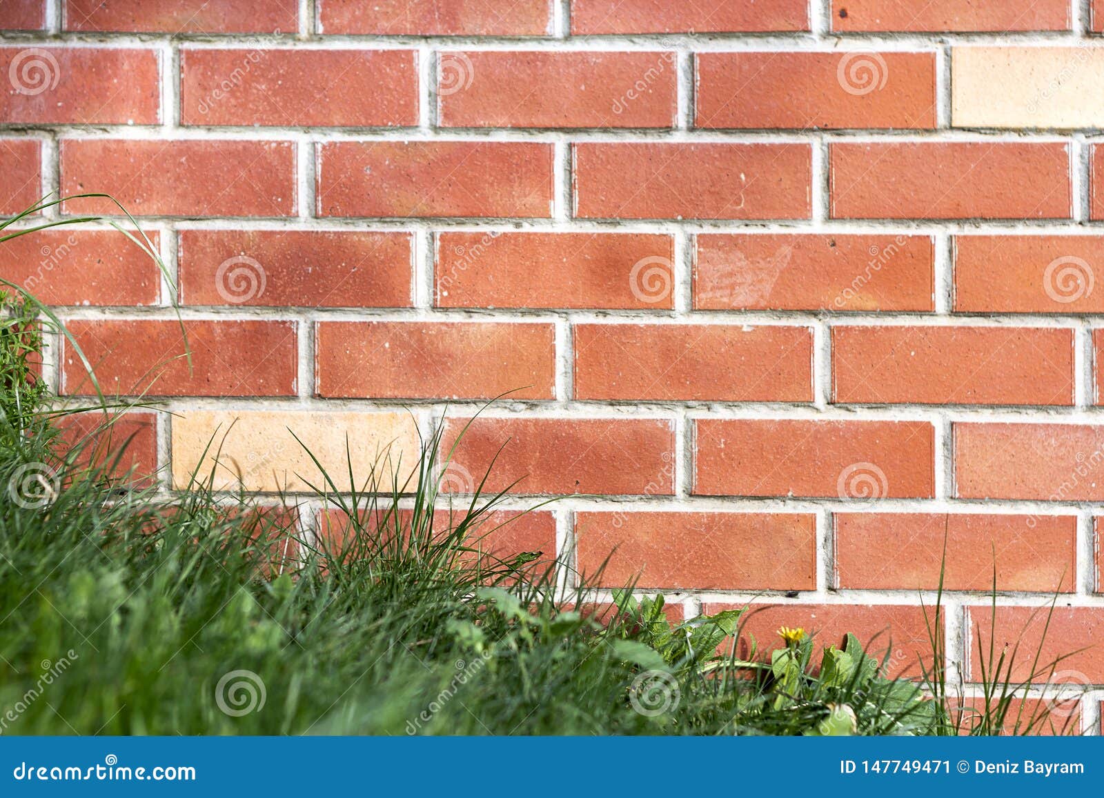 Brick Wall Textured with Grass Stock Image - Image of feature, gray ...