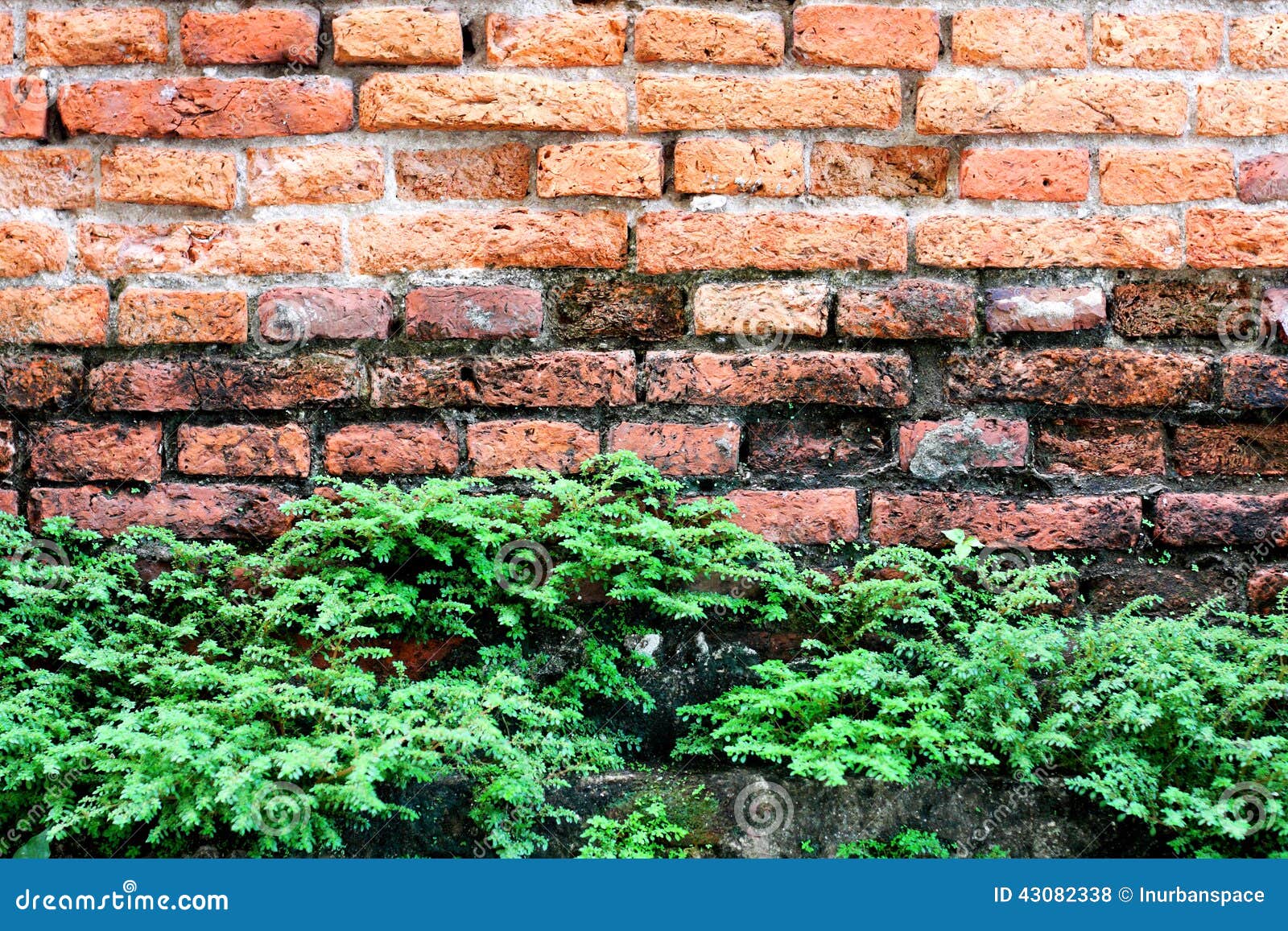 Brick wall and tree. stock photo. Image of block, outdoor - 43082338