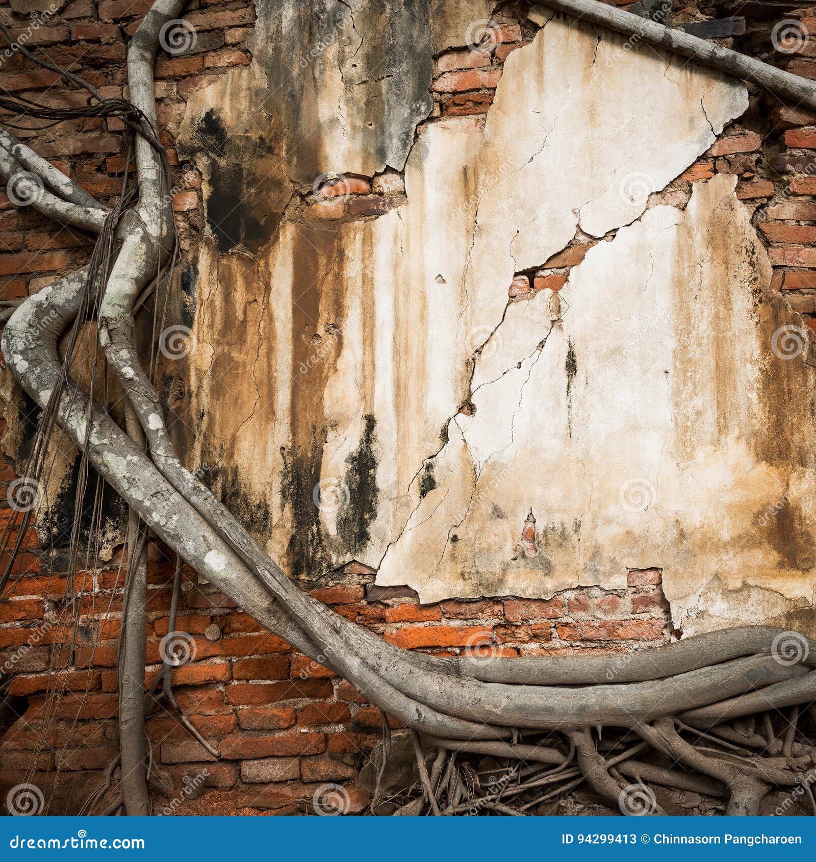 Brick wall with tree trunk stock image. Image of dirty - 94299413