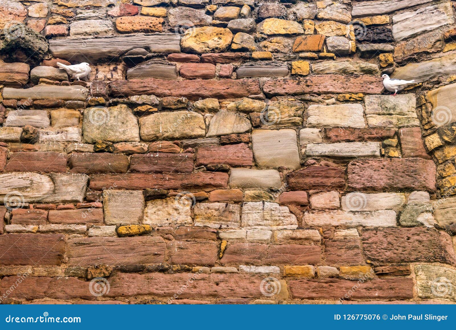 A Brick Wall with Two Doves Facing Each Other Stock Photo - Image of ...