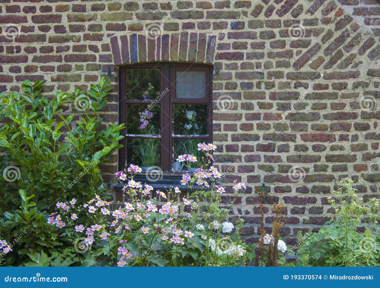 Brick Wall with Window and Flower Stock Photo - Image of decorative ...