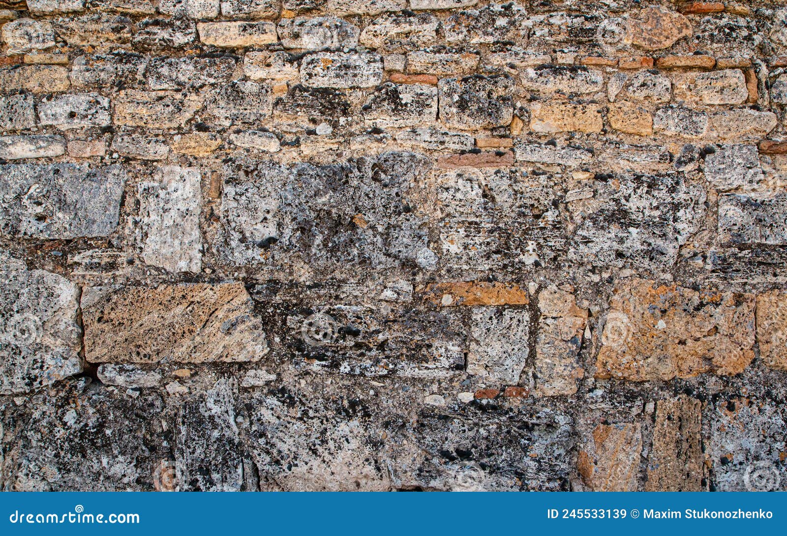 Brick Wall of Yellow Shell Rock. Closeup of Shellstone Texture ...