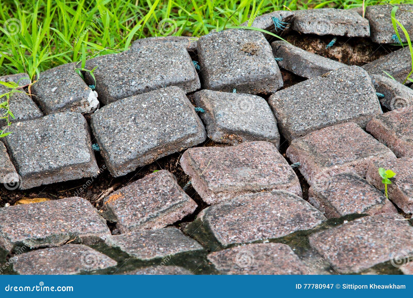 Brick Worm or Bricklaying Worm on the Walkway Stock Image - Image of ...