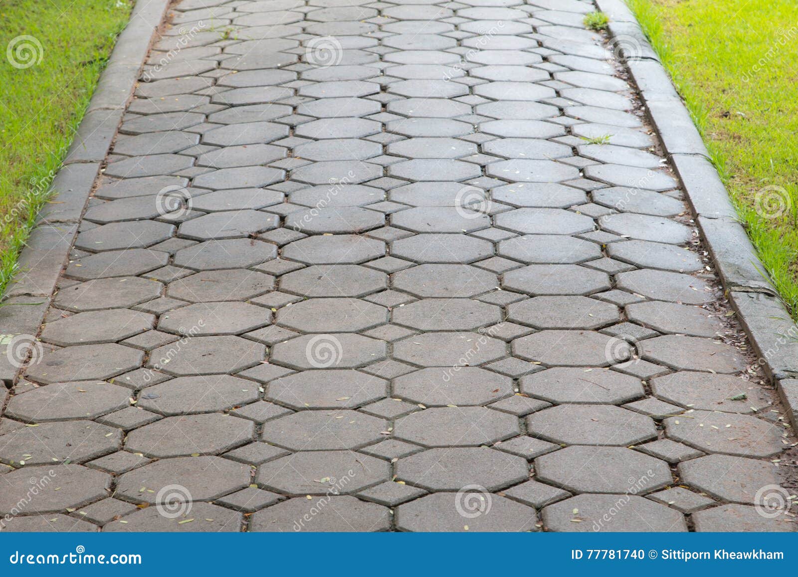 Brick Worm or Bricklaying Worm on the Walkway Stock Photo - Image of ...