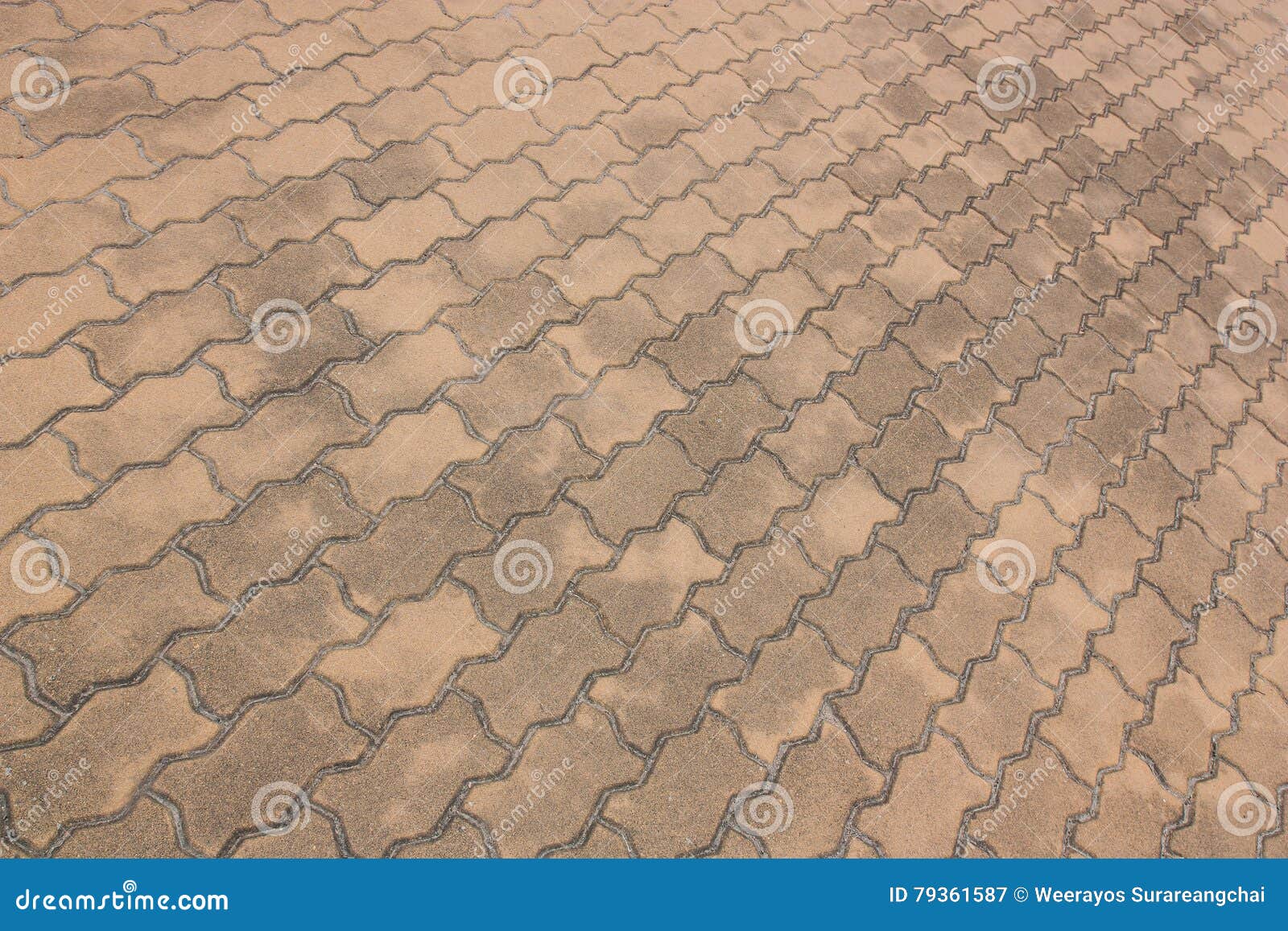 Brick Worm or Bricklaying Worm on the Walkway. Stock Image - Image of ...