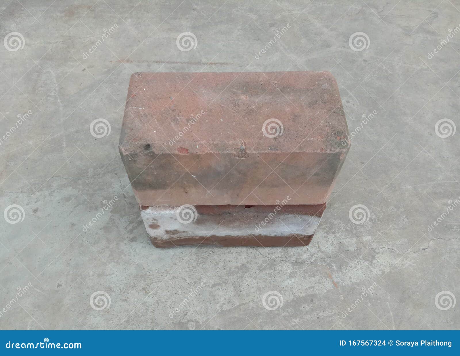 Brick Worm for Construction and Building on Cement Concrete Flooring ...