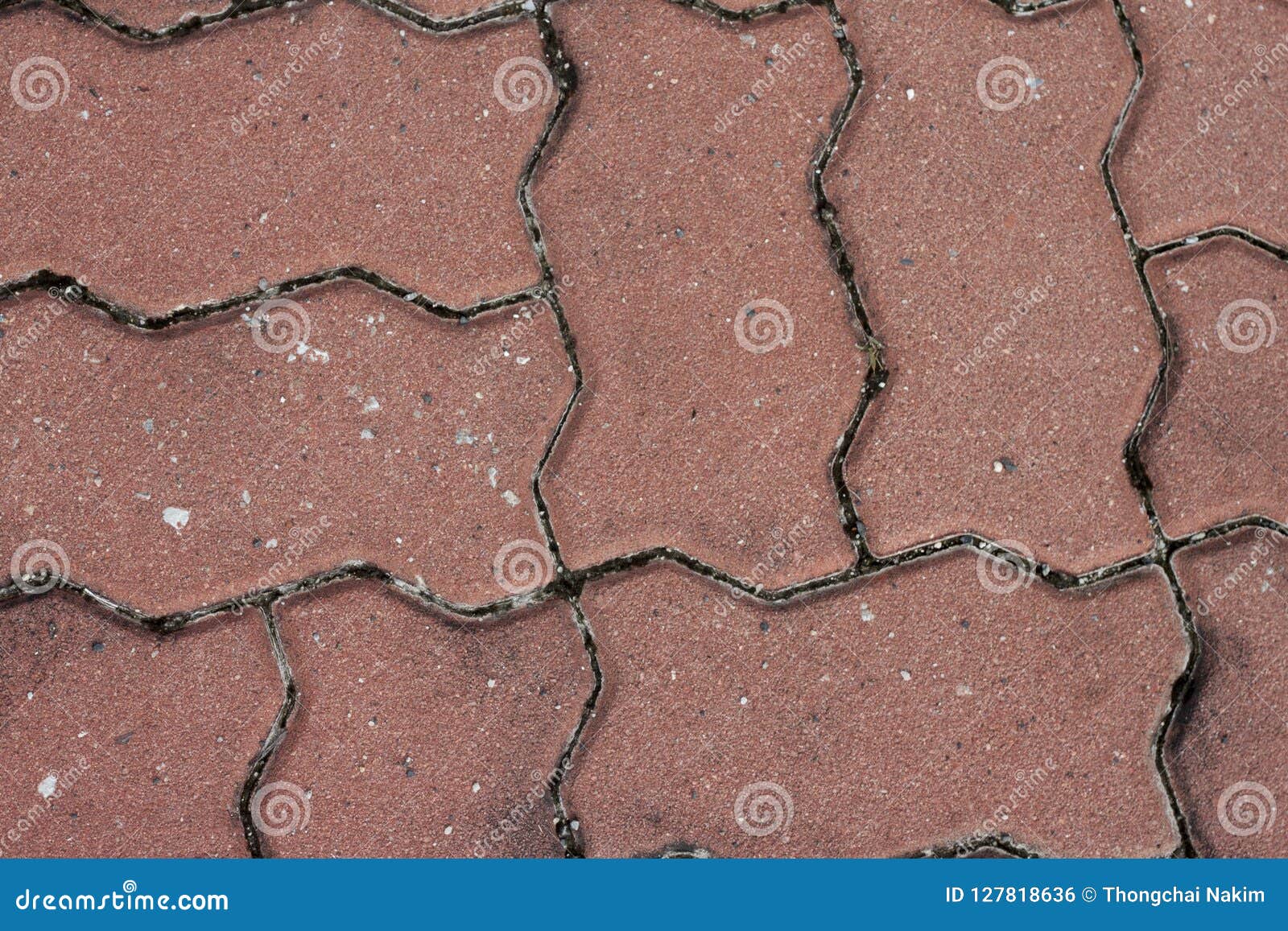 Brick Worm On The Walkway Stock Photography | CartoonDealer.com #48749042