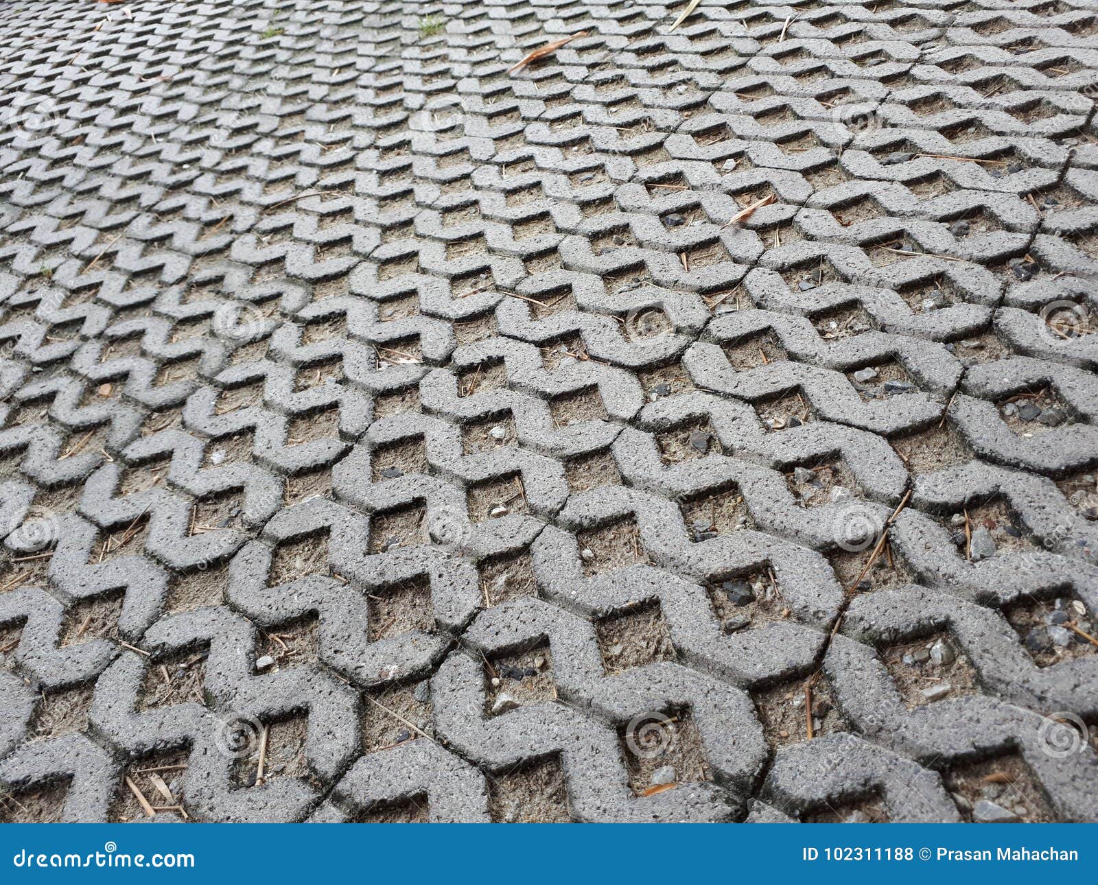 Brick worm pattern stock photo. Image of nature, pattern - 102311188