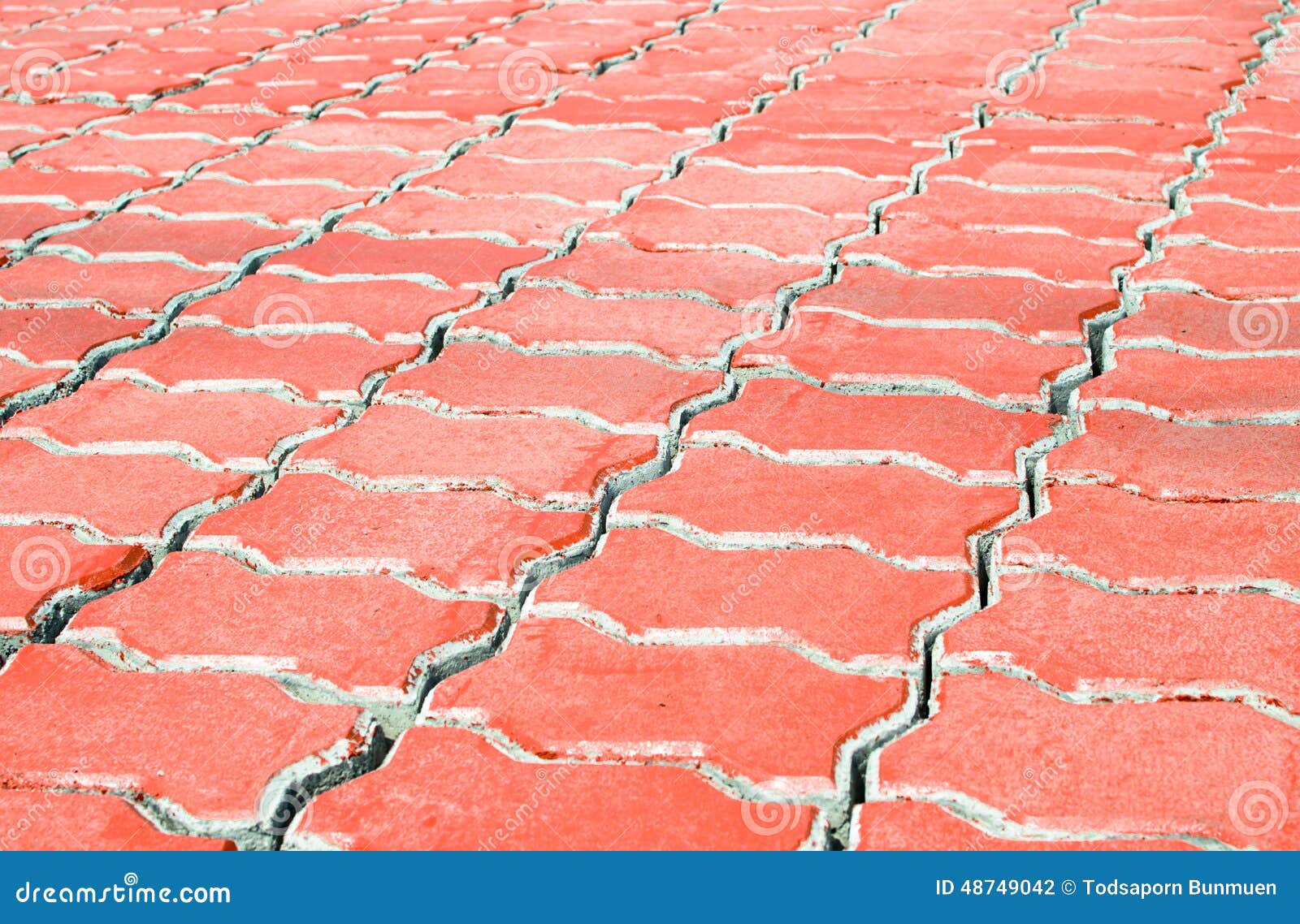 Brick worm on the walkway stock photo. Image of footpath - 48749042