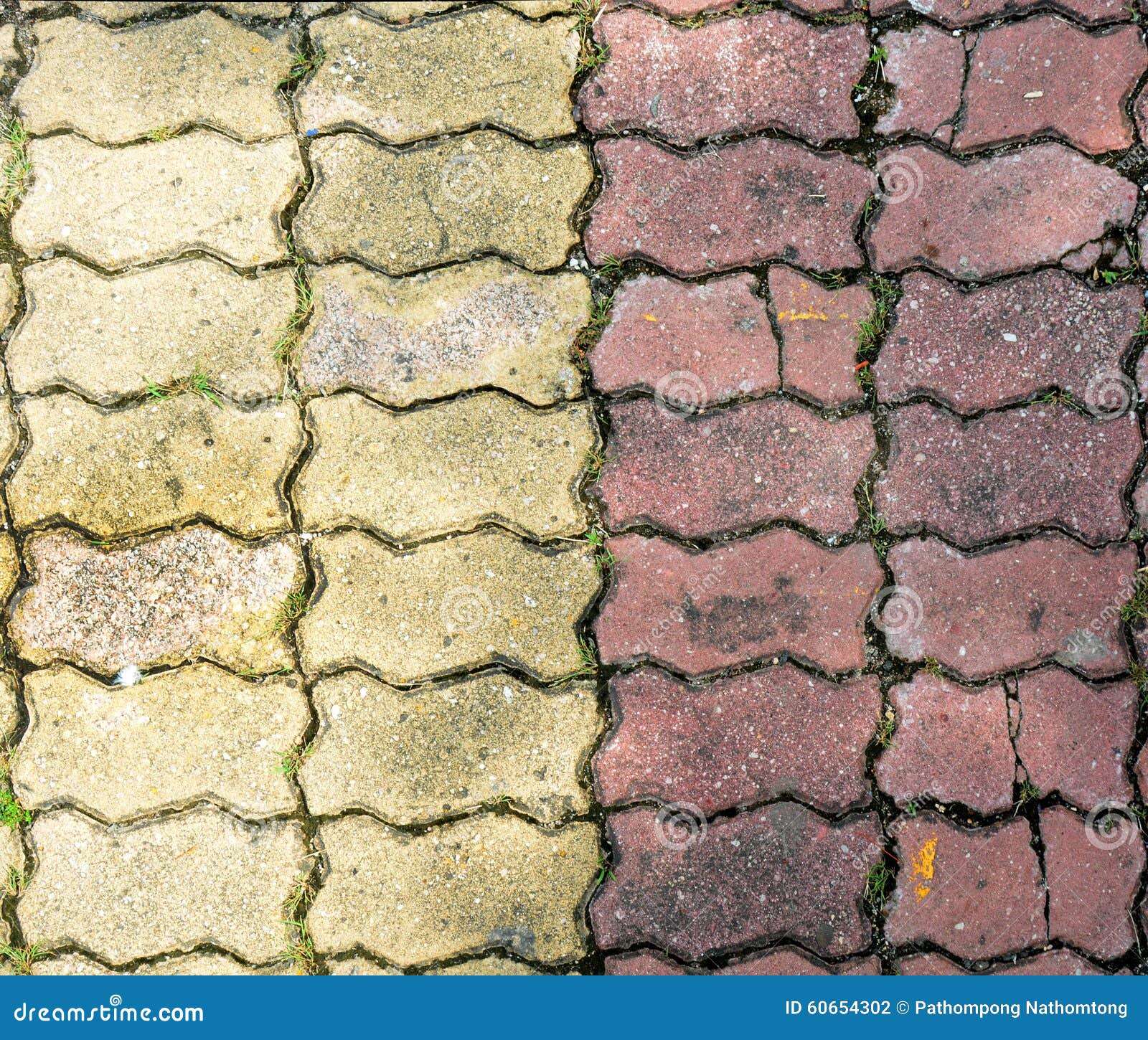 Brick worm on the walkway stock photo. Image of sidewalk - 60654302