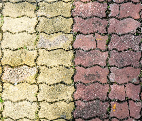 Brick worm on the walkway stock photo. Image of sidewalk - 60654302
