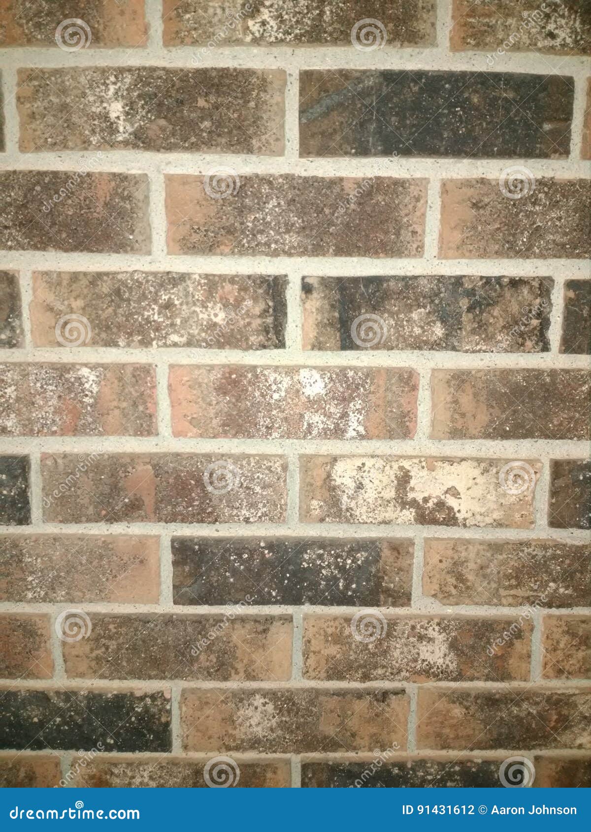 Bricked stockfoto. Bild von wand, ziegelstein, zeilen - 91431612