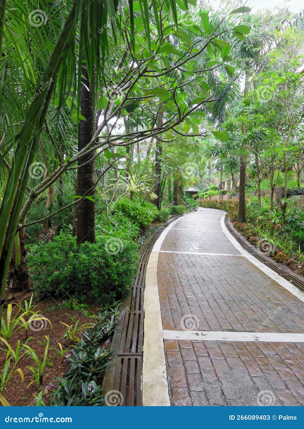 Bricked pathway in Boracay stock image. Image of pathway - 266089403