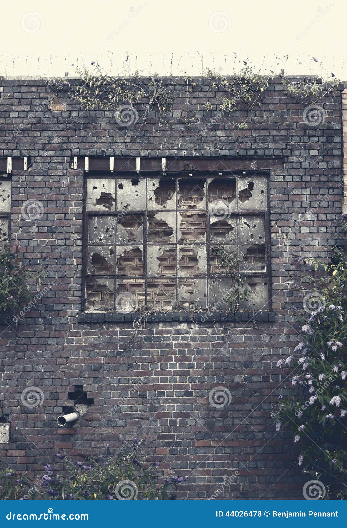 Bricked Up Factory Window stock photo. Image of construction - 44026478