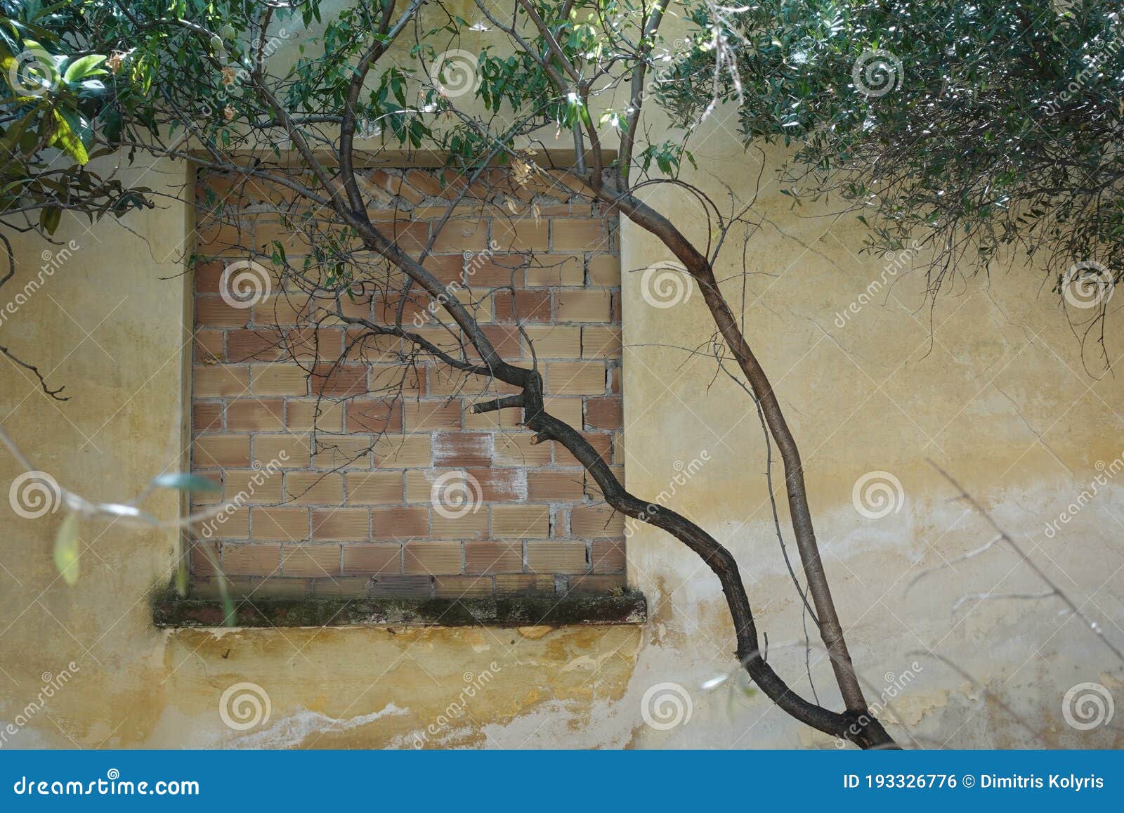 Bricked Up Window and Tree Branches Stock Photo - Image of confined ...