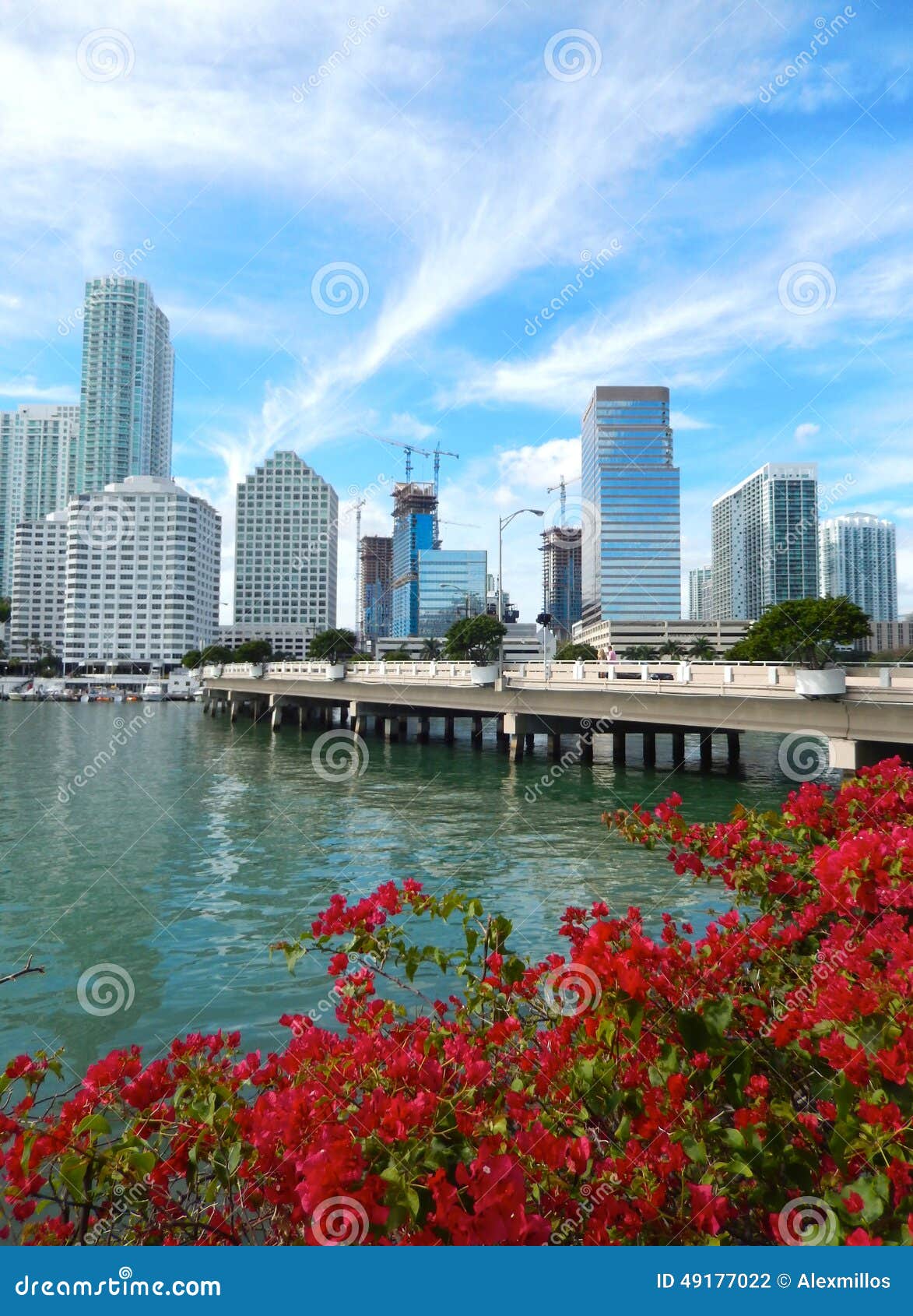 Brickell Key and Brickell Key Drive Stock Photo - Image of biscayne ...