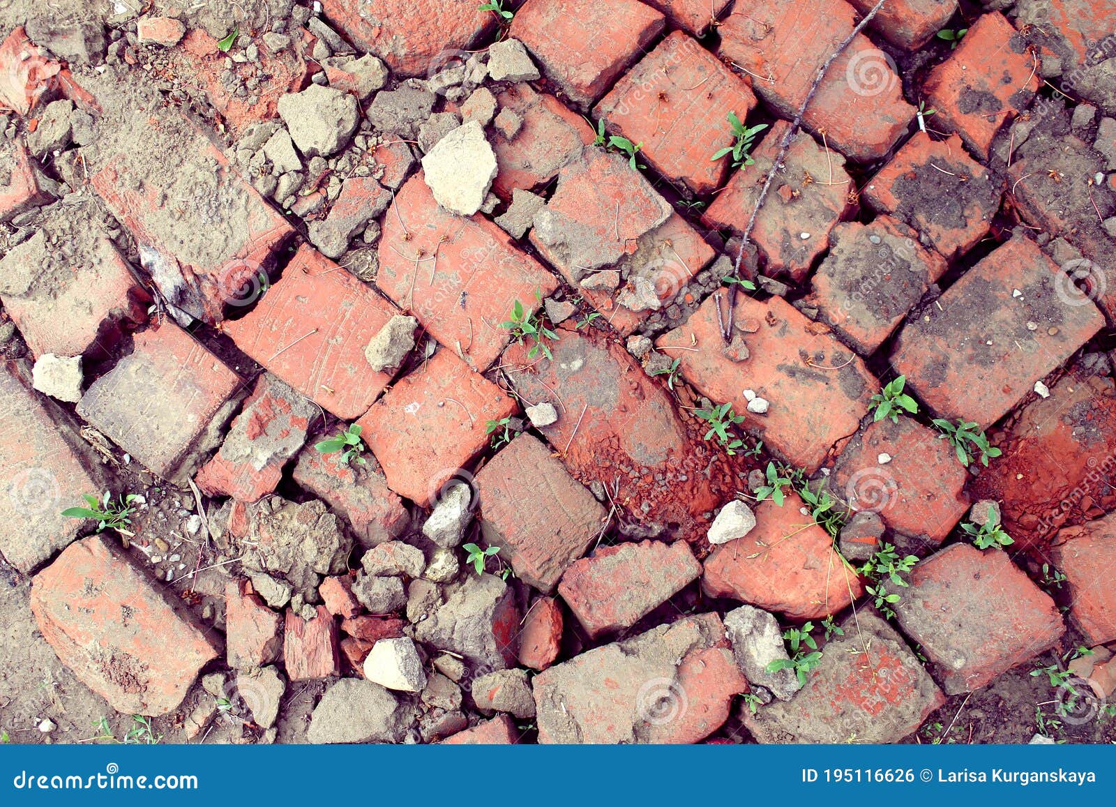 Bricklaying from Broken Red Brick with Sprouted Grass Stock Photo ...