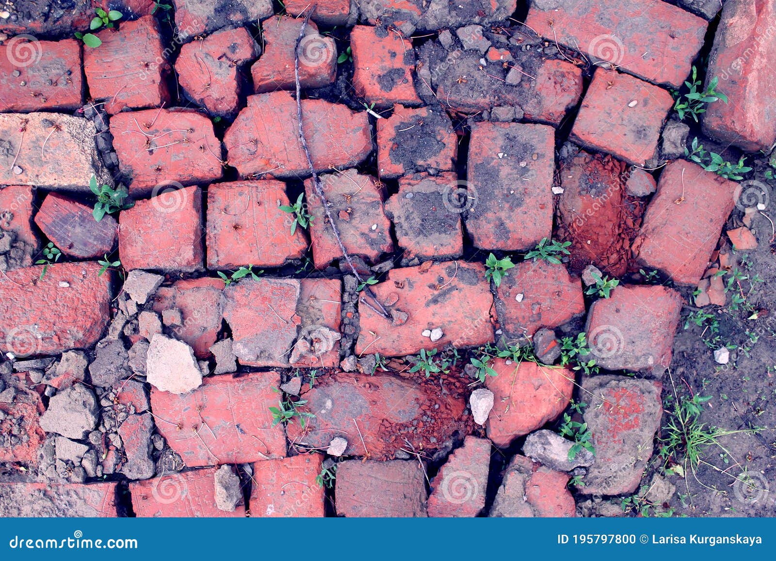 Bricklaying from Broken Red Brick with Sprouted Grass Stock Photo ...