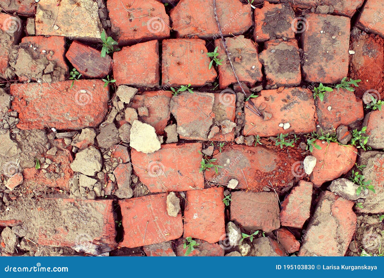 Bricklaying From Broken Red Brick With Sprouted Grass Royalty-Free ...