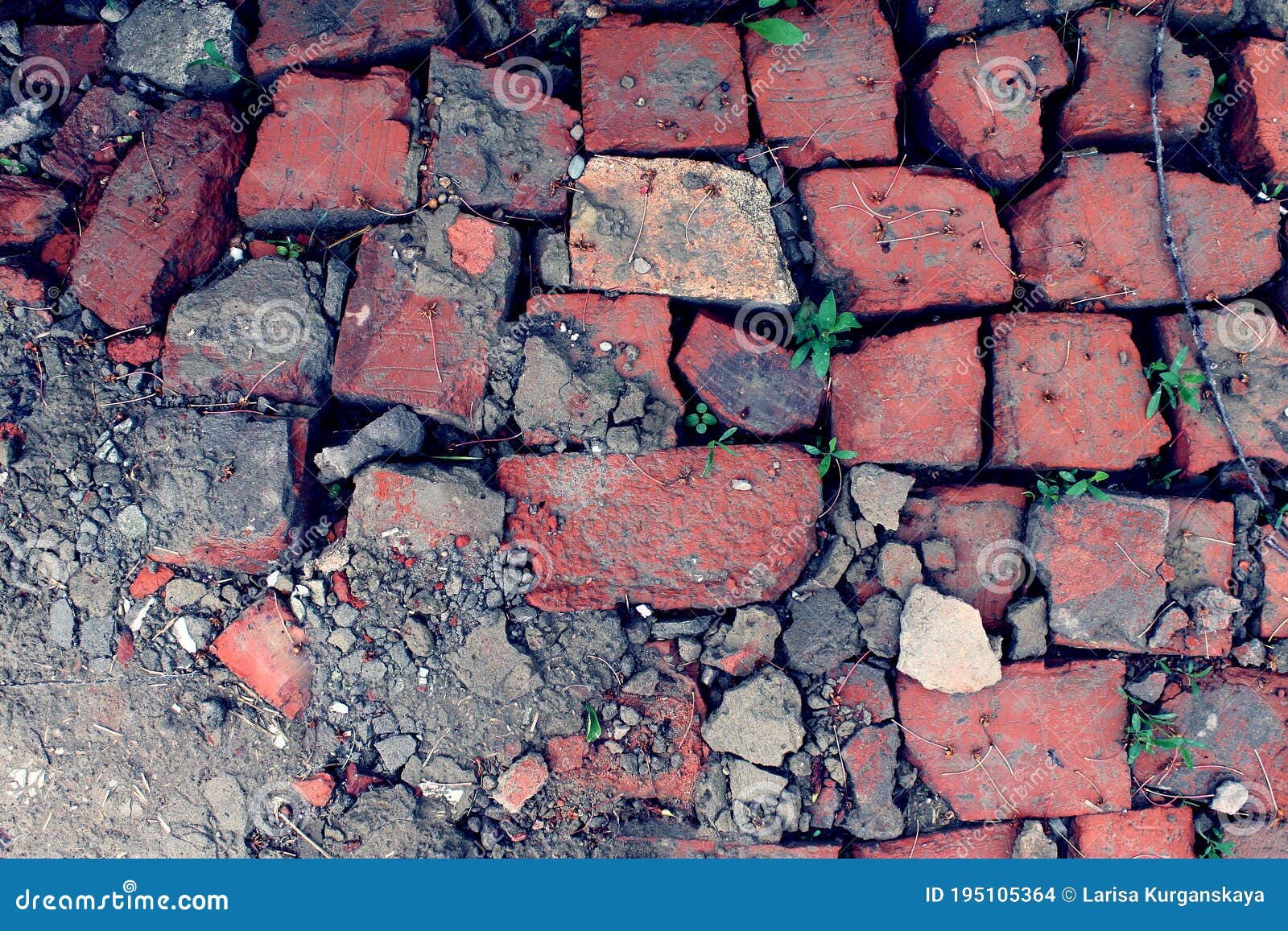 Bricklaying from Broken Red Brick with Sprouted Grass Stock Photo ...
