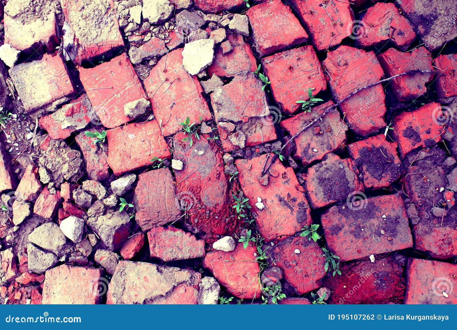 Bricklaying from Broken Red Brick with Sprouted Grass Stock Photo ...
