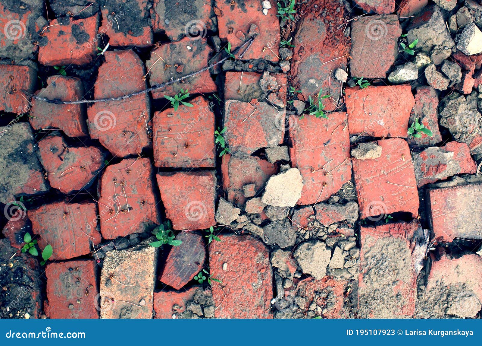Bricklaying from Broken Red Brick with Sprouted Grass Stock Image ...