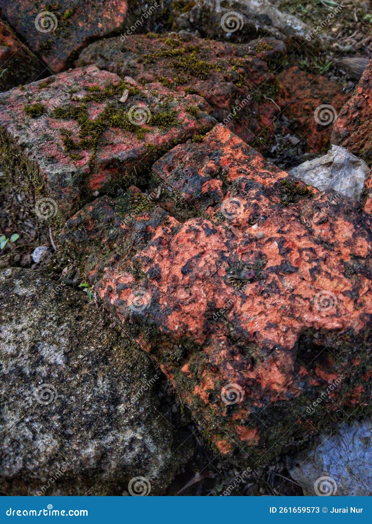These Bricks Begin To Rot and are Filled with Moss Due To Being ...