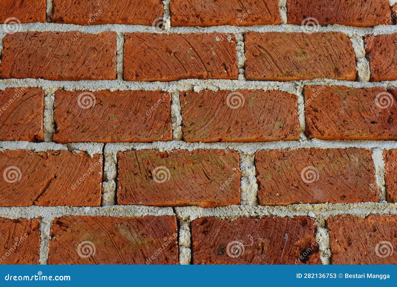 Bricks with Cement Coating for Building a House Stock Image - Image of ...