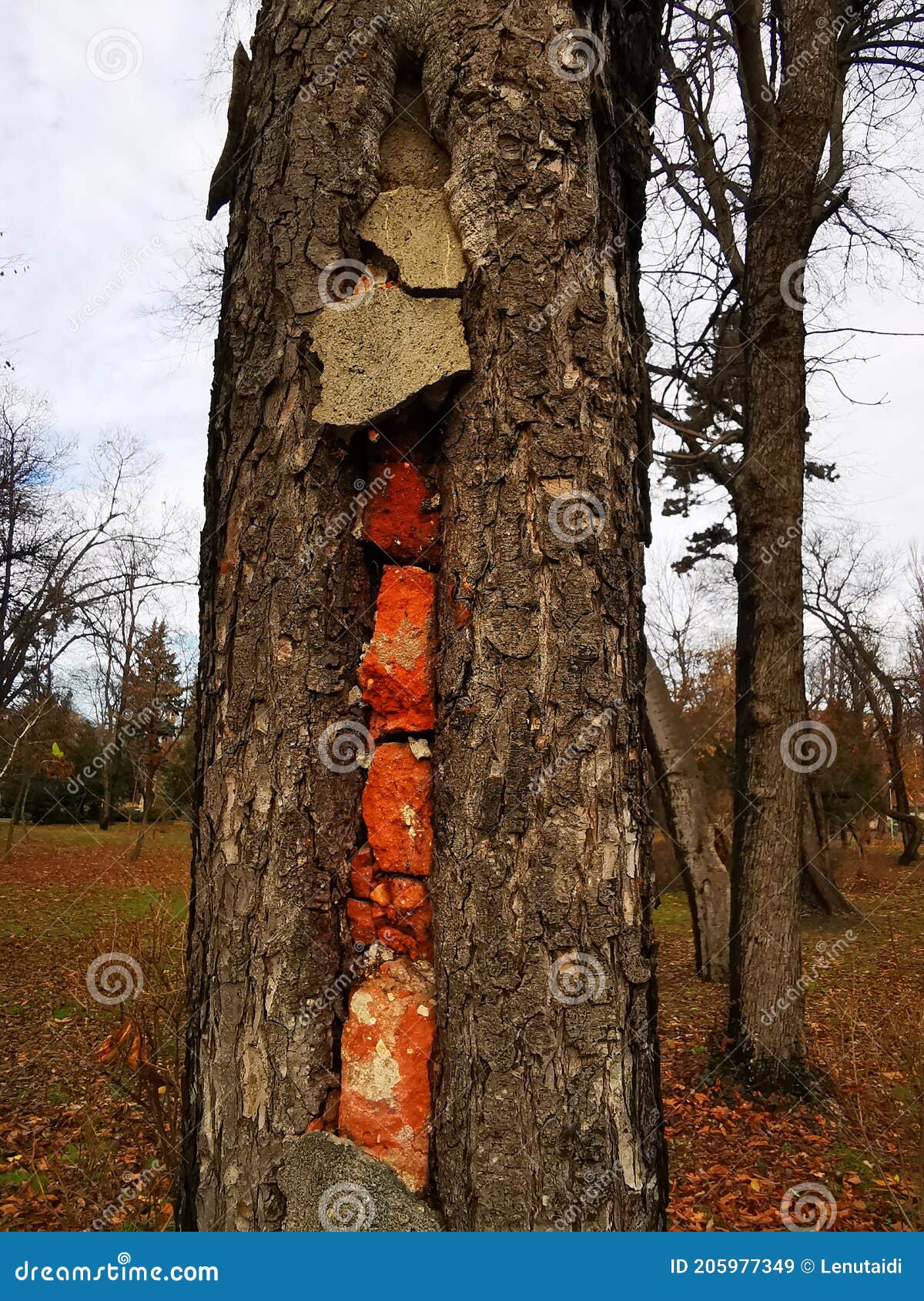 Axe Embedded In Tree Stump Royalty-Free Stock Photography ...
