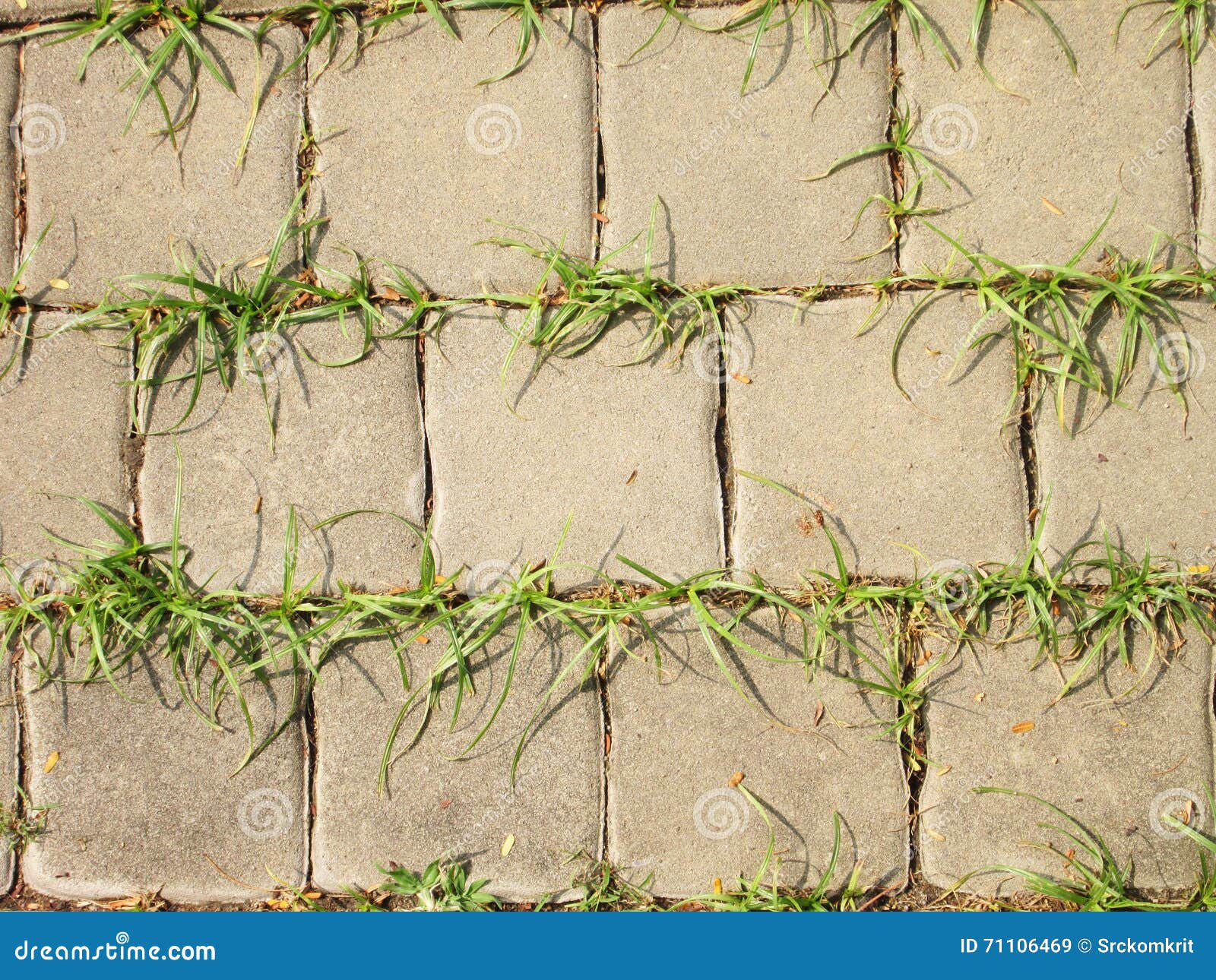 Bricks floor with grass stock image. Image of exterior - 71106469