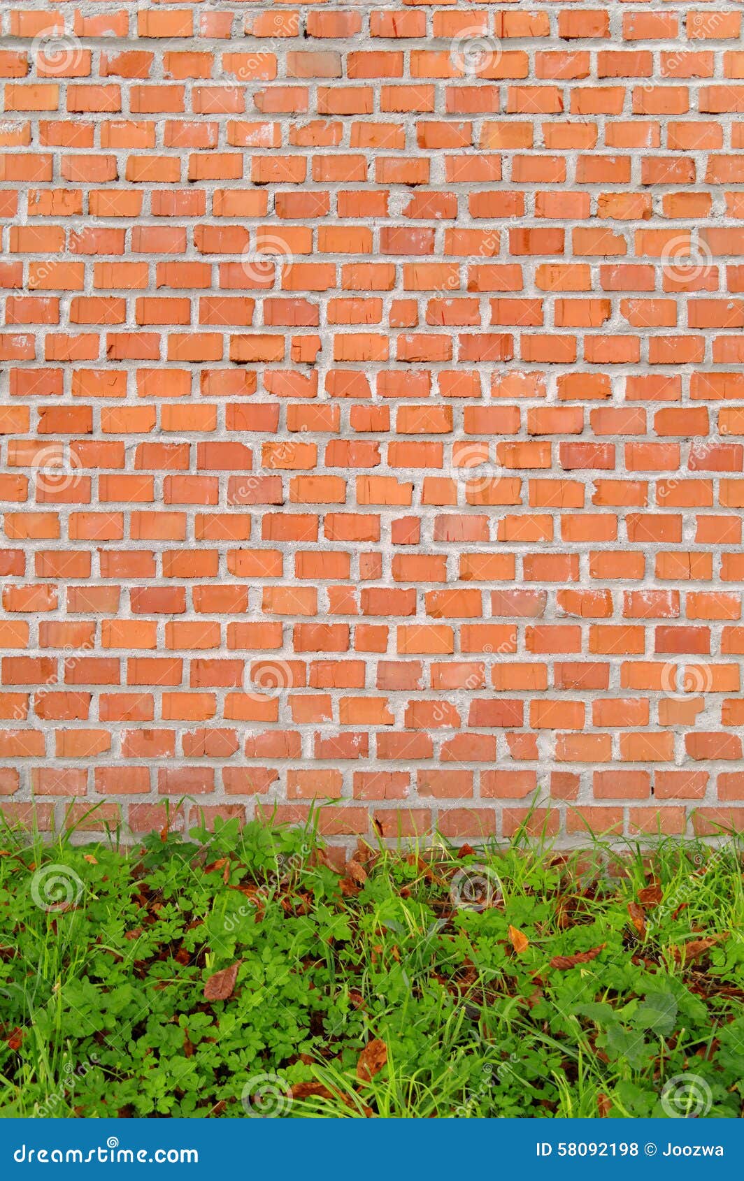 Bricks and grass stock photo. Image of orange, architecture - 58092198