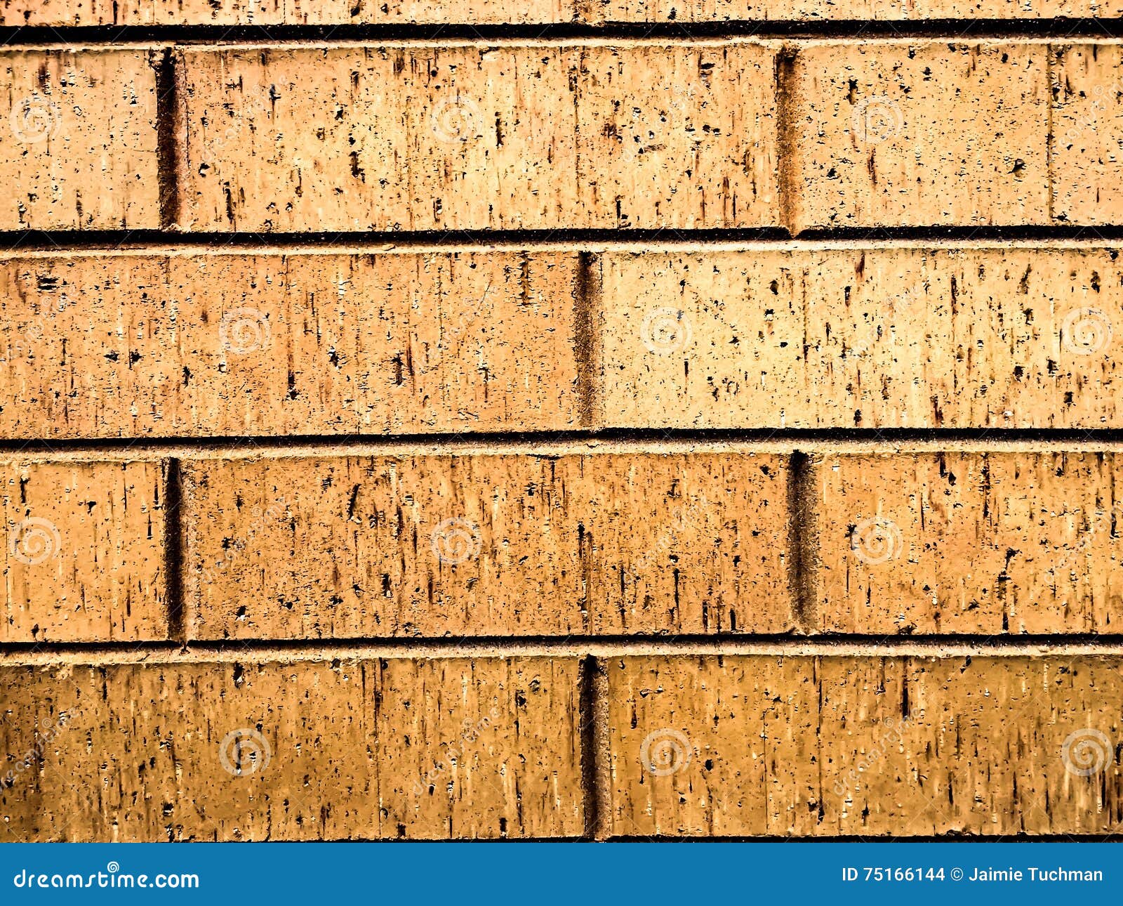Bricks in a line stock photo. Image of line, bricks, straight - 75166144