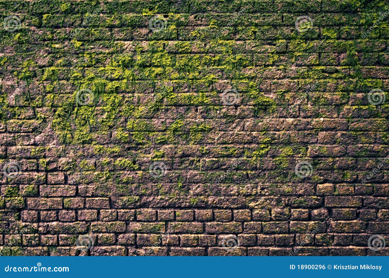 Bricks And Moss Picture. Image: 18900296
