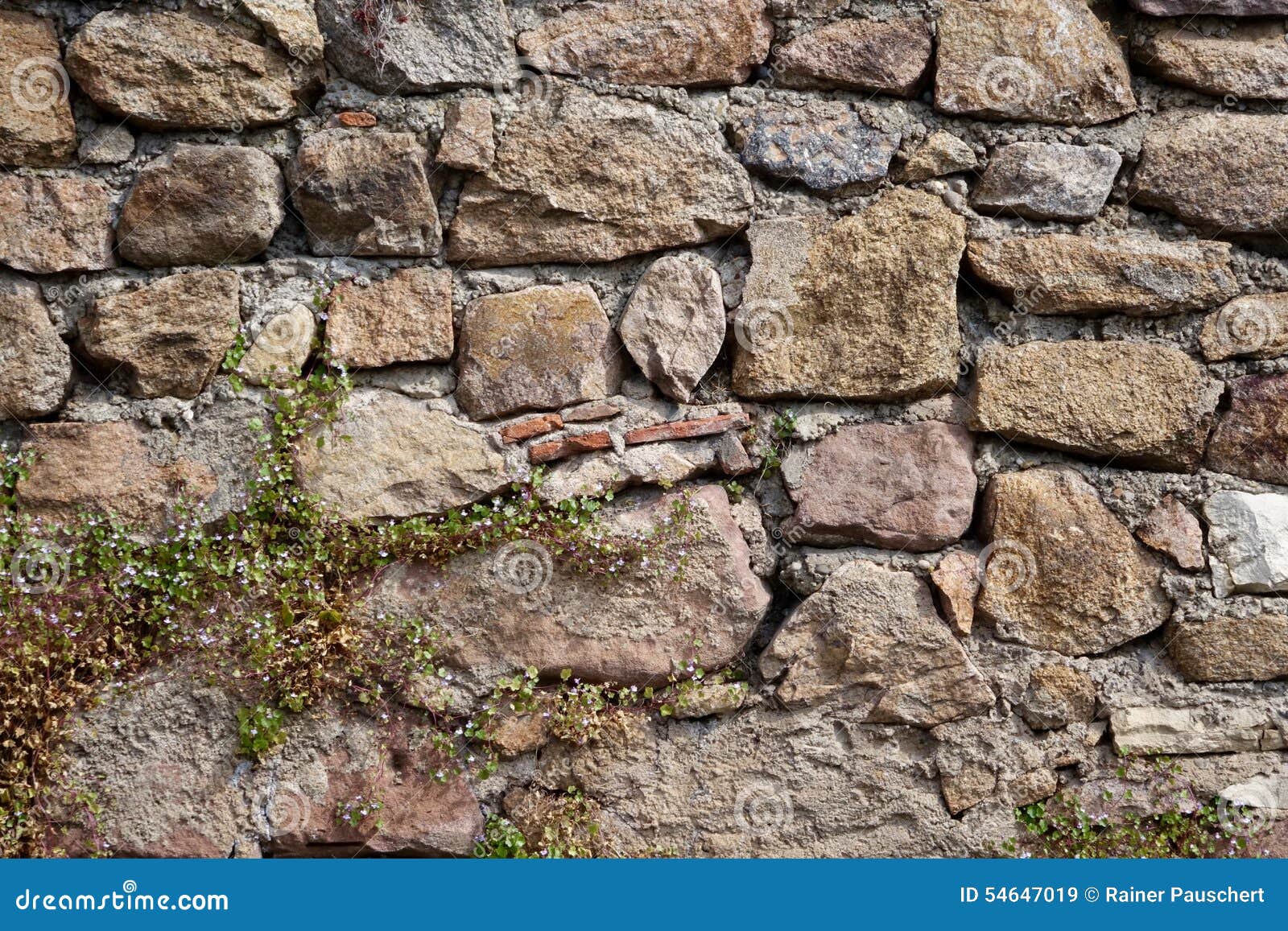 Bricks of an old castle stock image. Image of single - 54647019