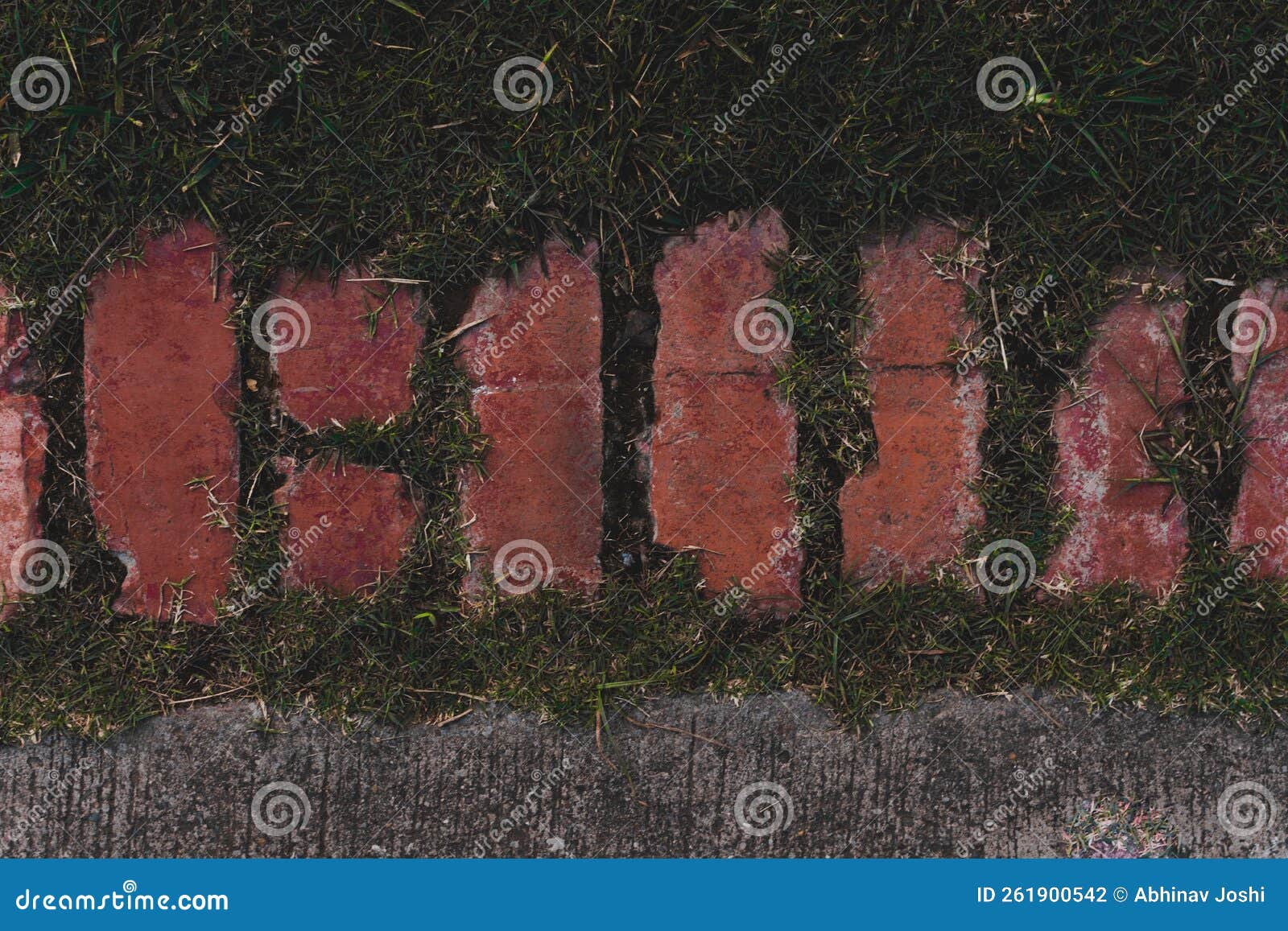 Bricks Pattern in the Grass - Concrete - Red Bricks in the Park Pathway ...