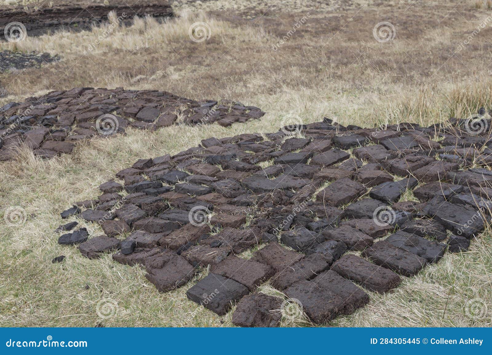 Bricks of Peat Laid Out on the Ground so they Can Dry Stock Image ...