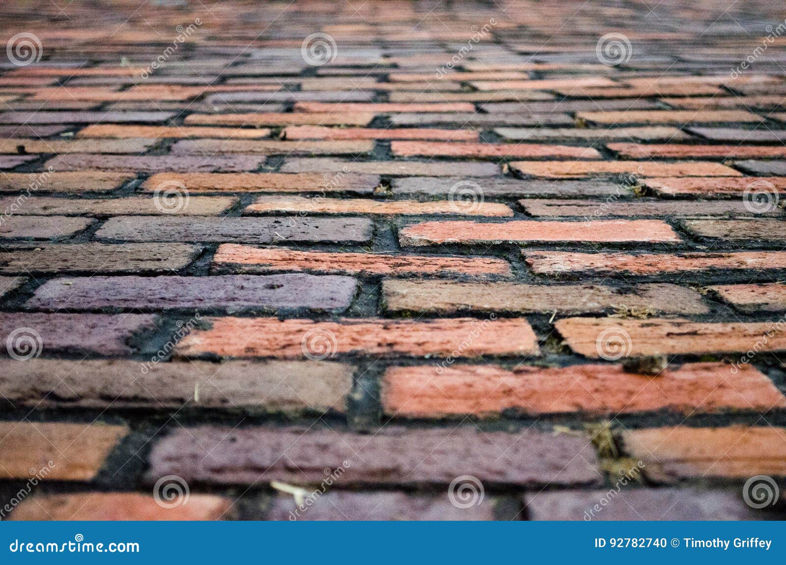 Bricks after rain stock photo. Image of orange, deep - 92782740